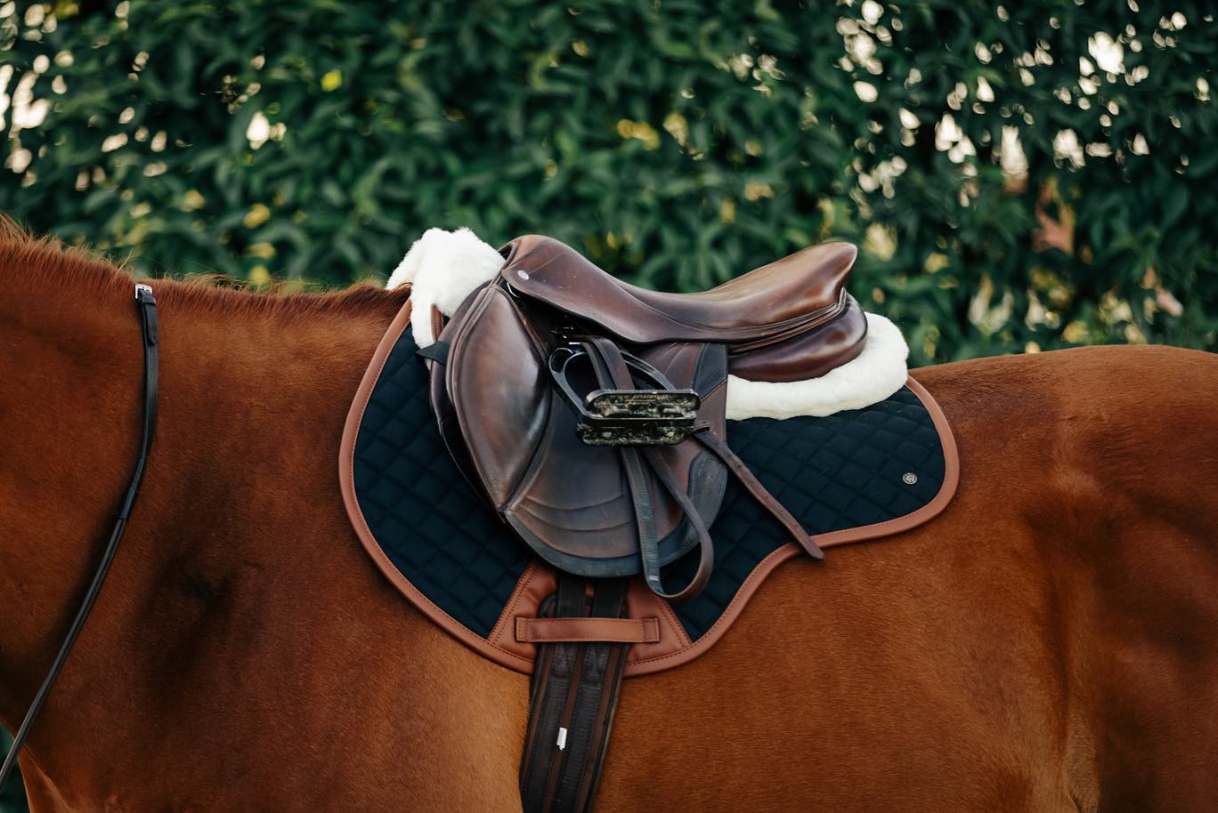 Sixteen Cypress Close Contact Saddle Pad – Glaze & Gordon