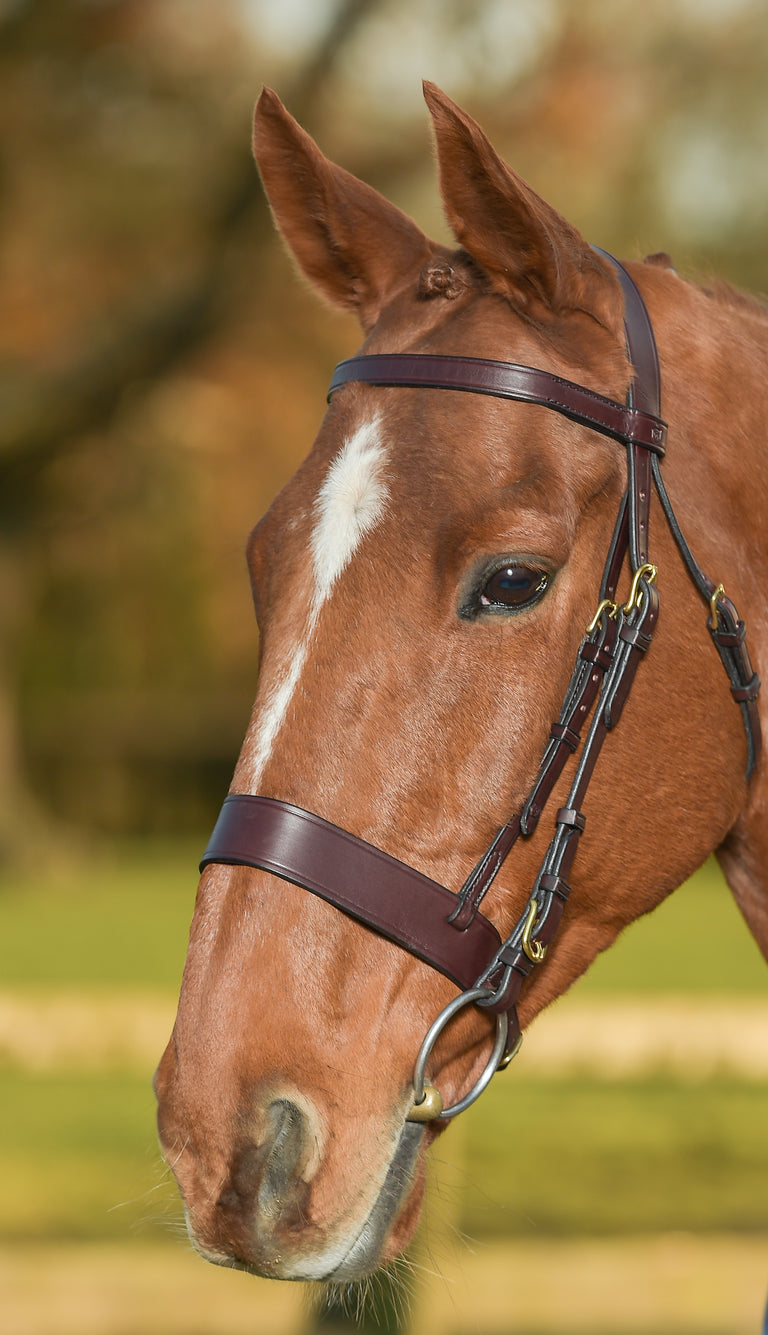 Glaze & Gordon Deluxe Flat Bridle