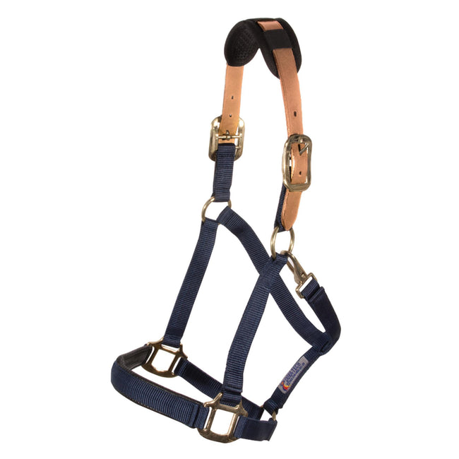 Horse Head collars – Glaze & Gordon