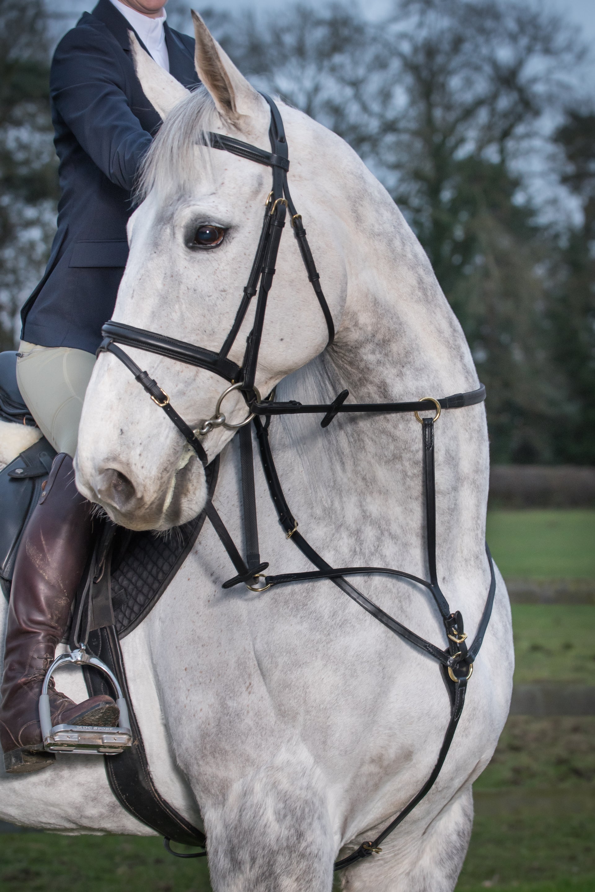 Glaze & Gordon Deluxe Comfort Padded Bridle