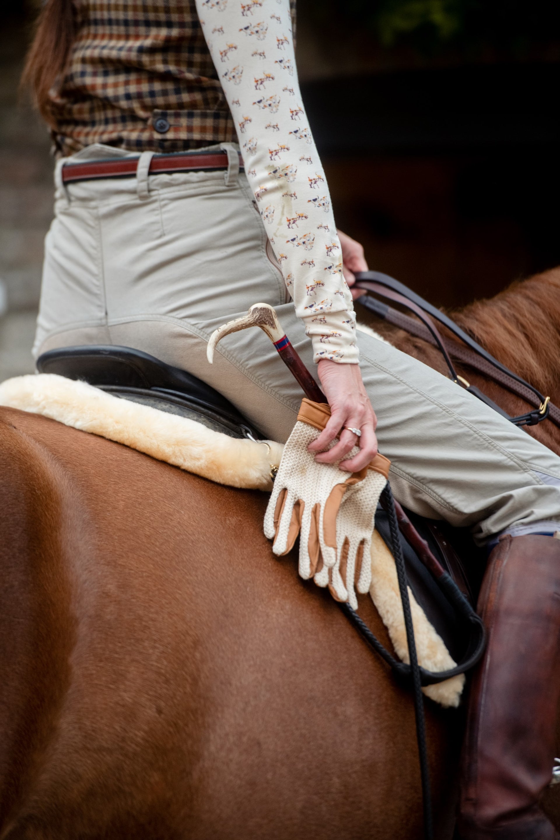Glaze & Gordon Classic Unisex Hunting Breeches - Unisex